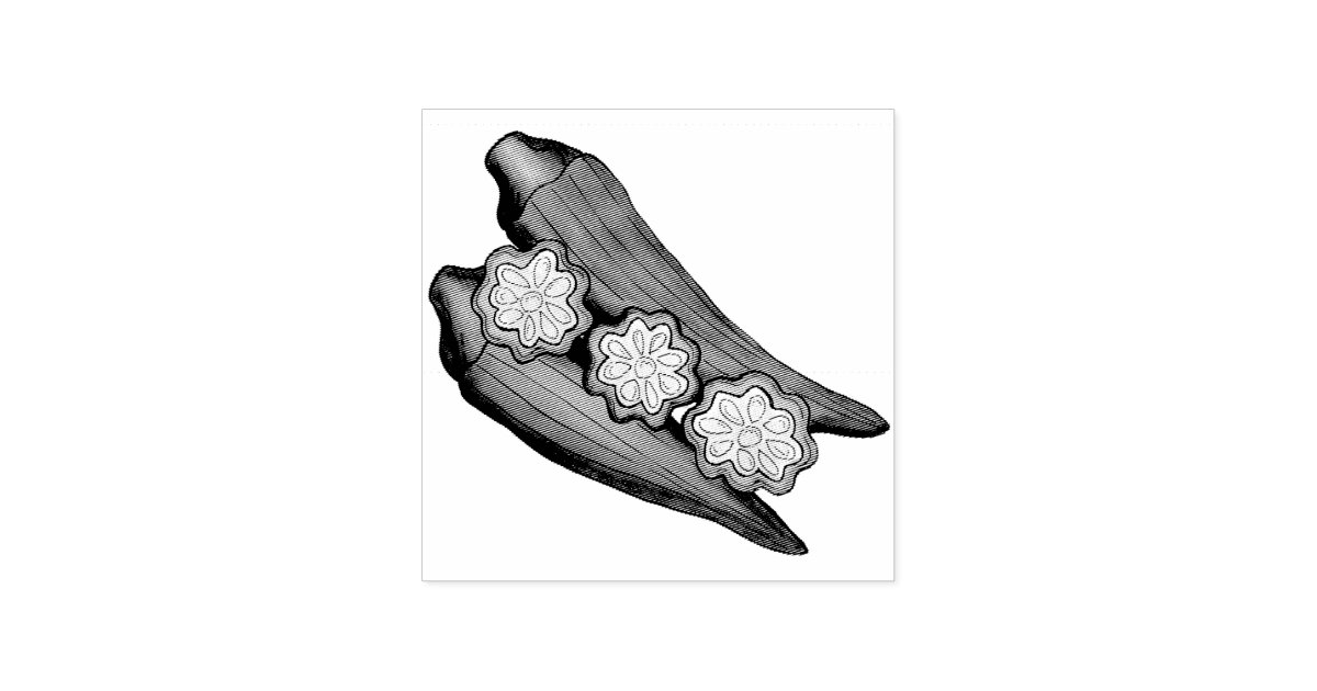Okra Pods Veggie Vegetable Gumbo Southern Food Rubber Stamp | Zazzle