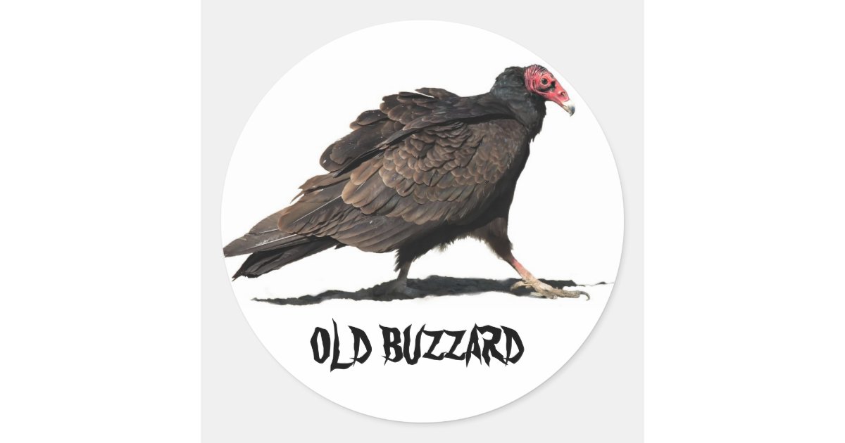 OLD BUZZARD CLASSIC ROUND STICKER | Zazzle