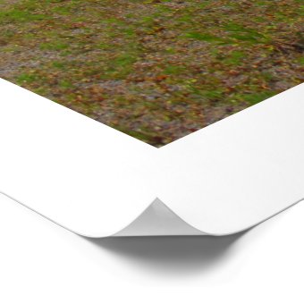 Old Coachmen - vintage camper trailer rv art photo Poster | Zazzle