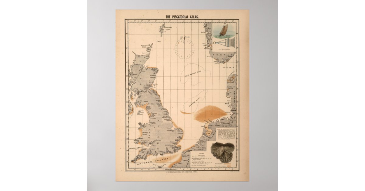 Old English Channel Oyster Concentration Areas Map Poster | Zazzle