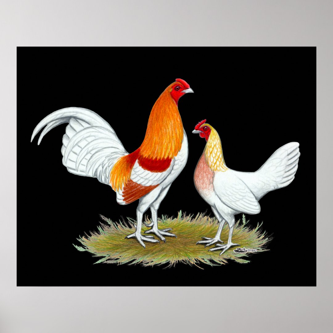 Old English Game Bantam: Red Pyle Poster | Zazzle