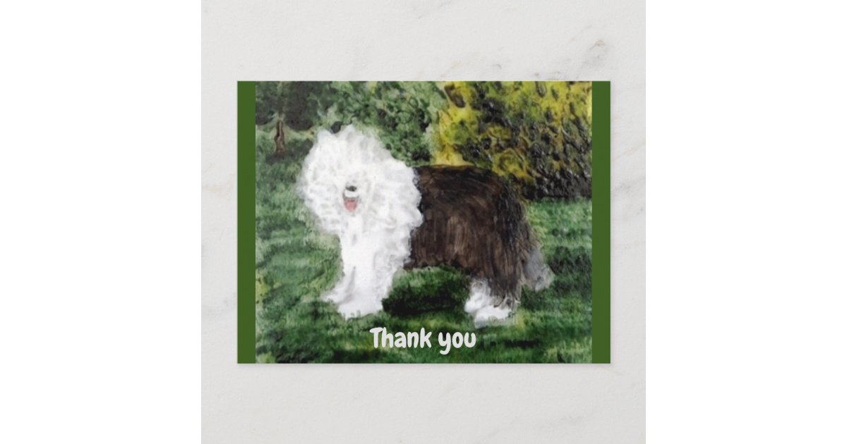 Old English Sheepdog Pet Thank you Postcard | Zazzle