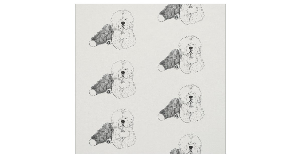 dizzy sheepdog