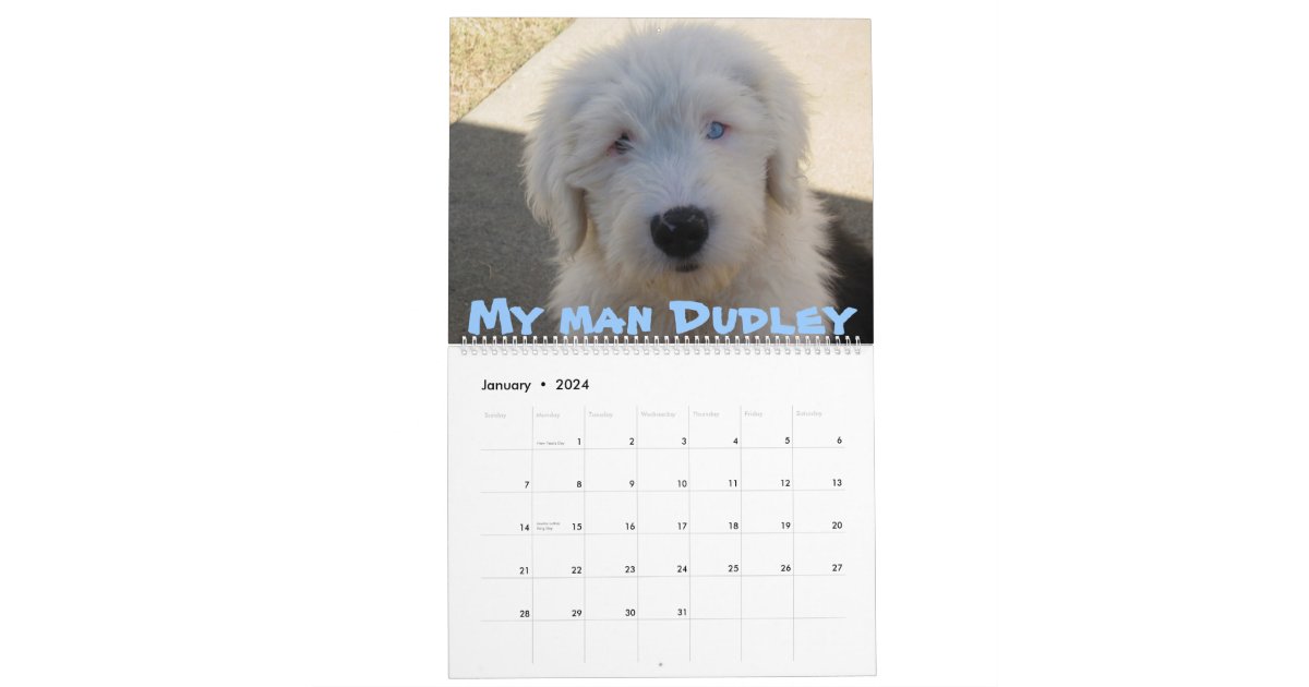 Old English Sheepdogs Calendar | Zazzle