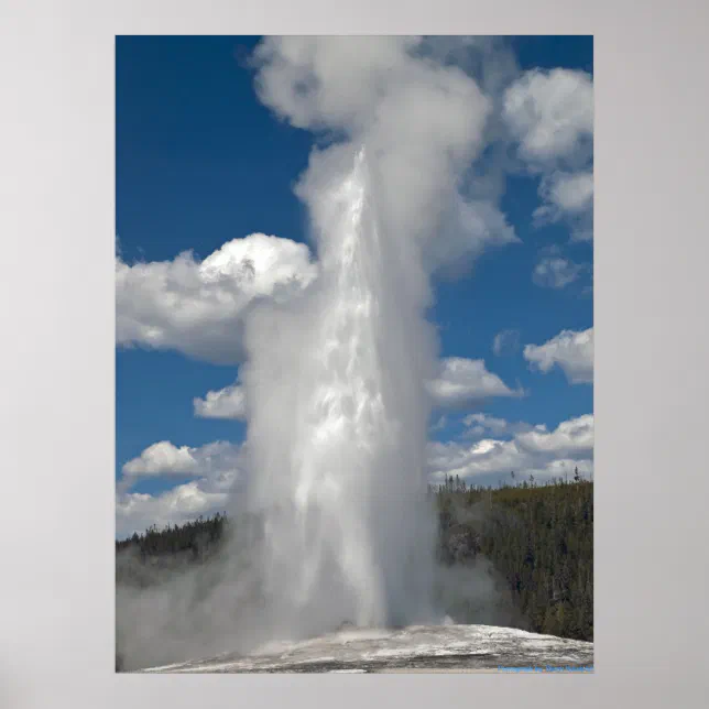 Old Faithful Geyser - Fine Art Print | Zazzle