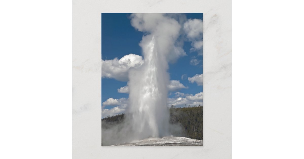 Old Faithful Geyser - Postcard | Zazzle
