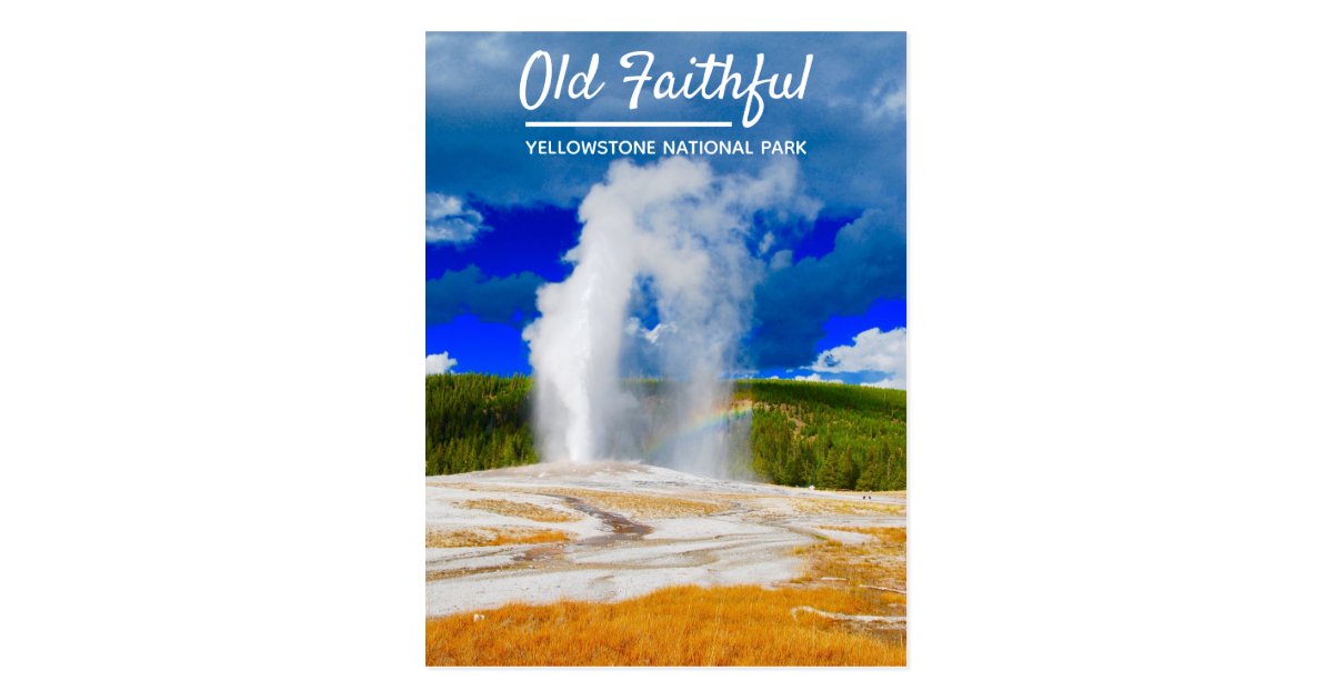 Old Faithful Geyser | Yellowstone National Park Postcard | Zazzle.com