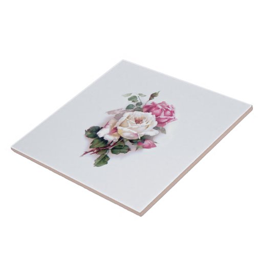 Old Fashioned White/Pink Roses-White Background Ceramic Tile | Zazzle