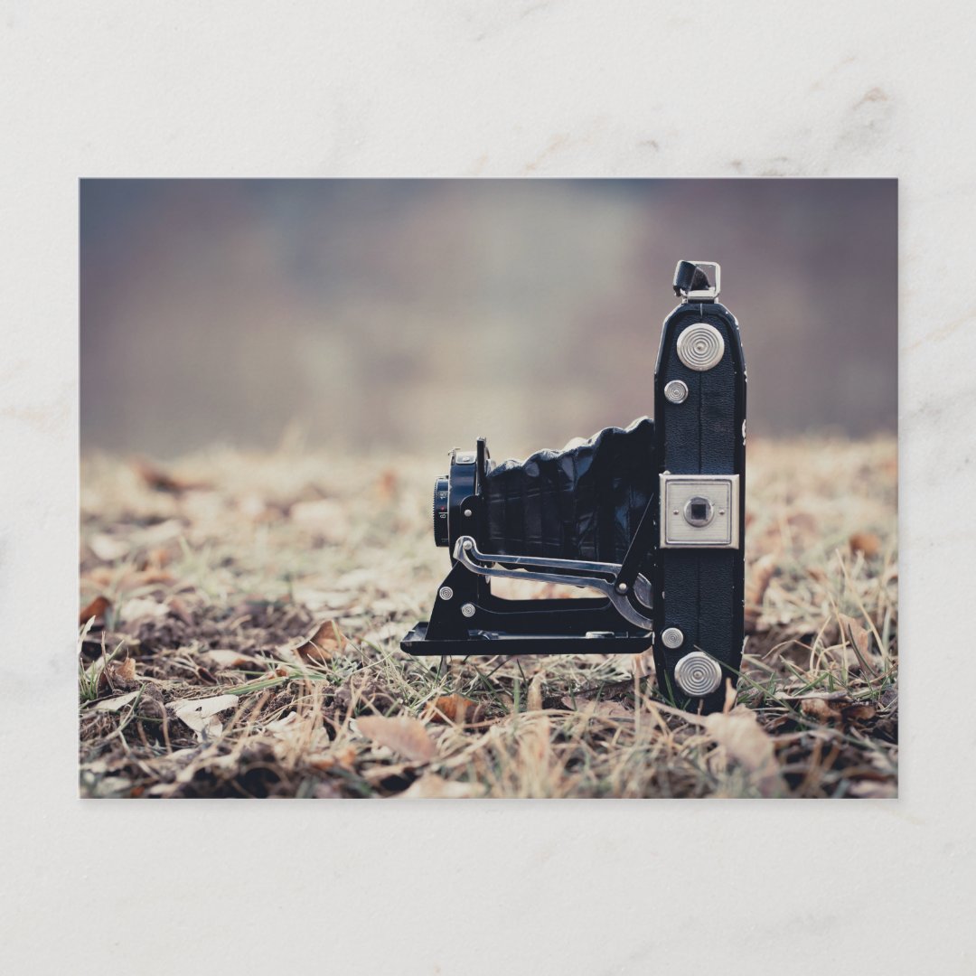 Old folding camera postcard | Zazzle
