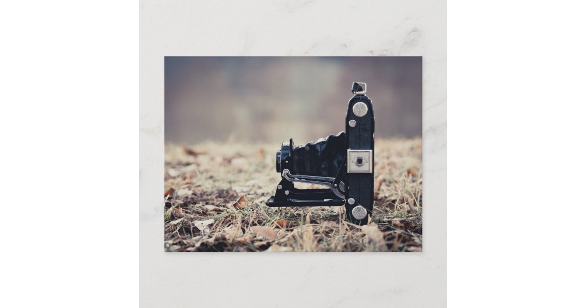Old folding camera postcard | Zazzle