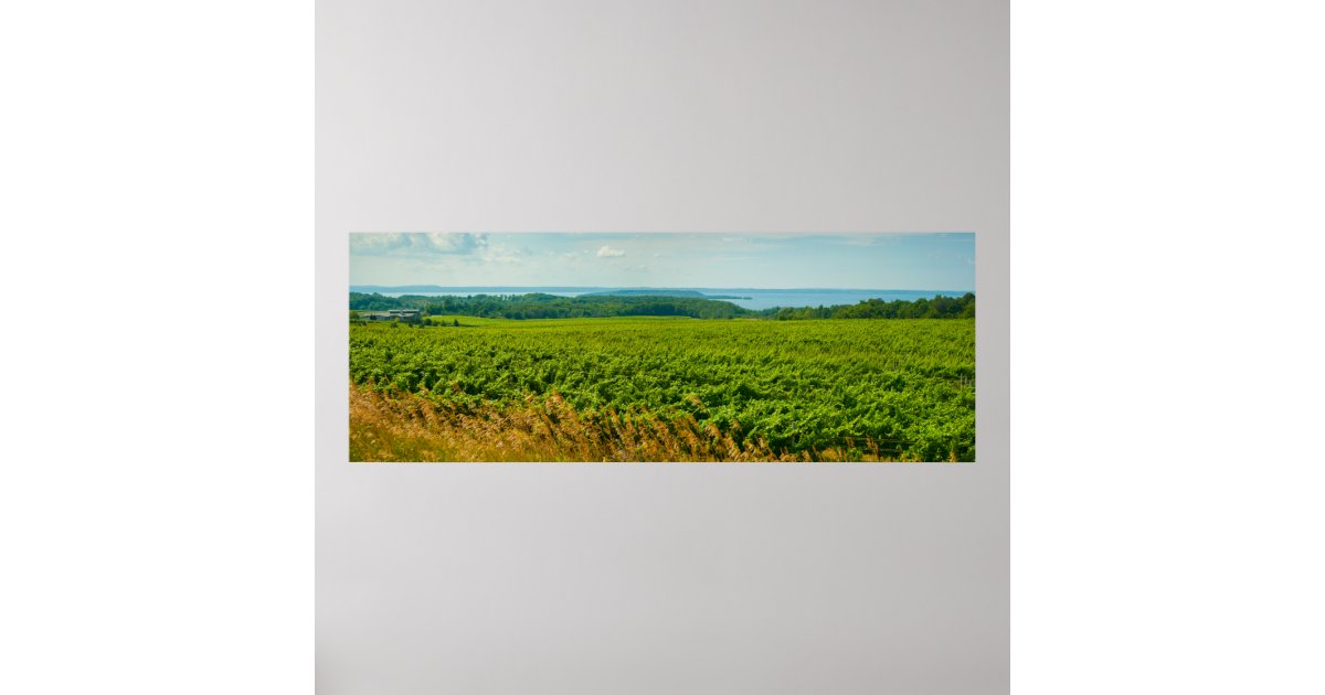 Old Mission Peninsula, Michigan Poster | Zazzle