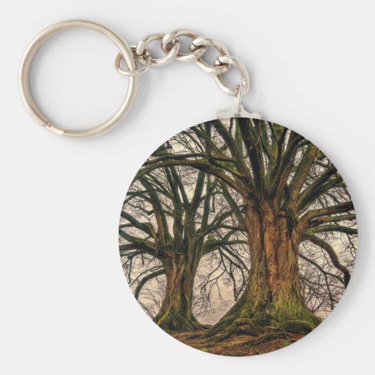 Old Oak Tree in Winter Keychain | Zazzle.com