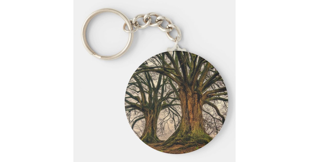Old Oak Tree in Winter Keychain | Zazzle
