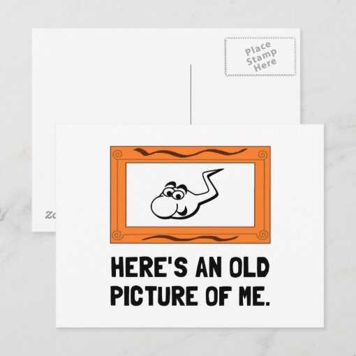 Old Picture Of Me Postcard | Zazzle
