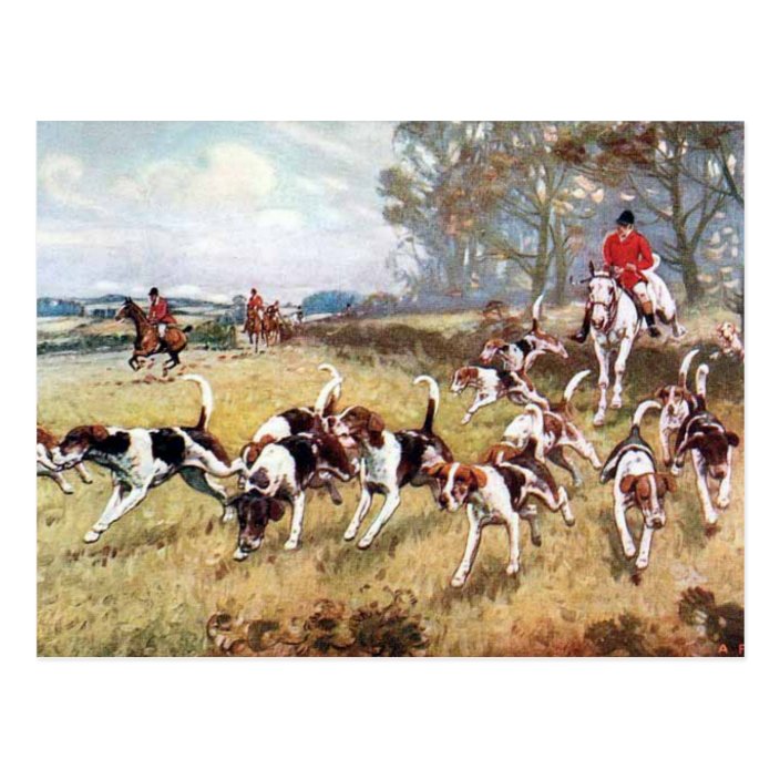 Old Postcard - Fox Hunting | Zazzle.com