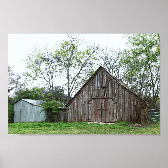 Old Texas Barn and Shed Poster | Zazzle
