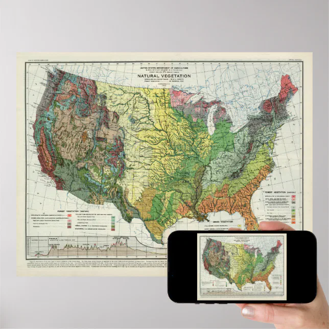 Old US Natural Vegetation Map (1923) Poster | Zazzle