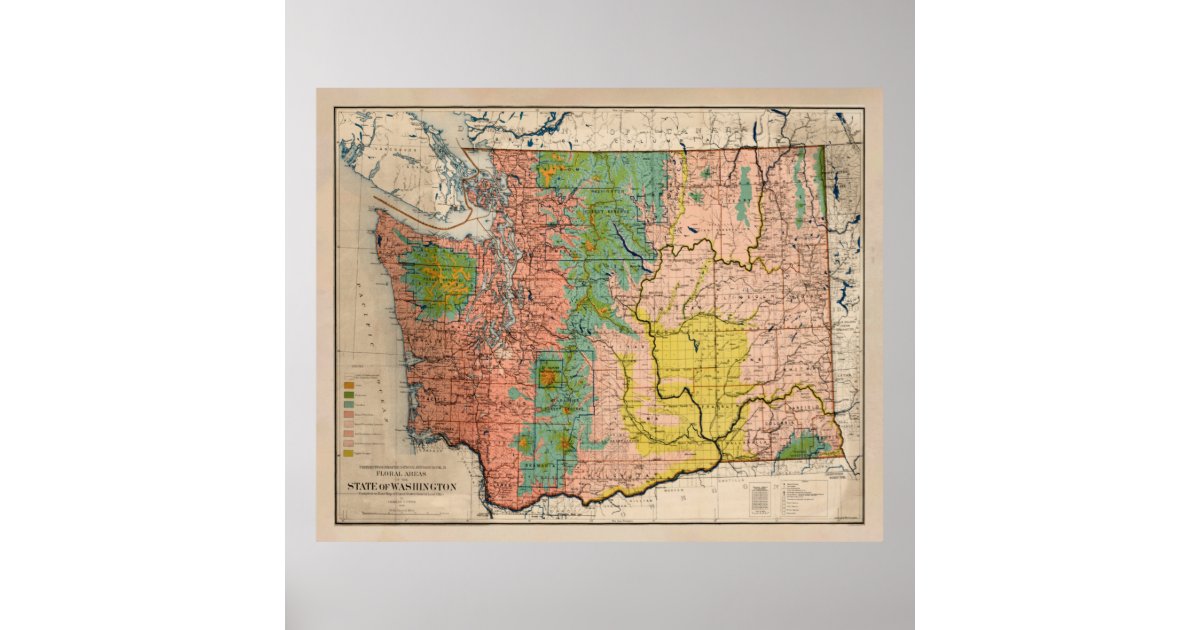 Old Washington State Floral Biome Map (1906) Poster | Zazzle