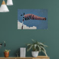 Old windsock poster | Zazzle