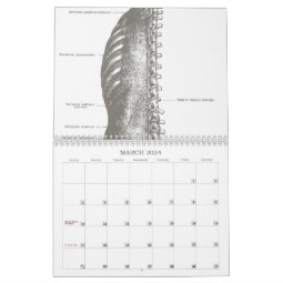 OldSchool Anatomy Calendar | Zazzle