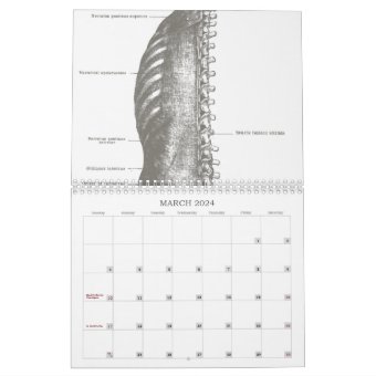 OldSchool Anatomy Calendar | Zazzle