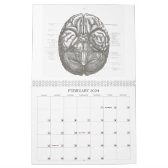 OldSchool Anatomy Calendar | Zazzle