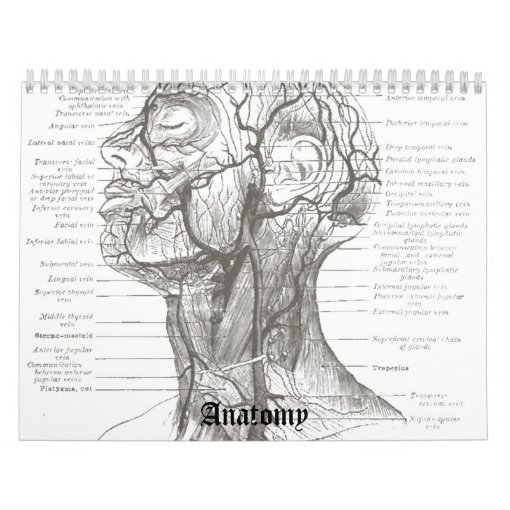 OldSchool Anatomy Calendar | Zazzle