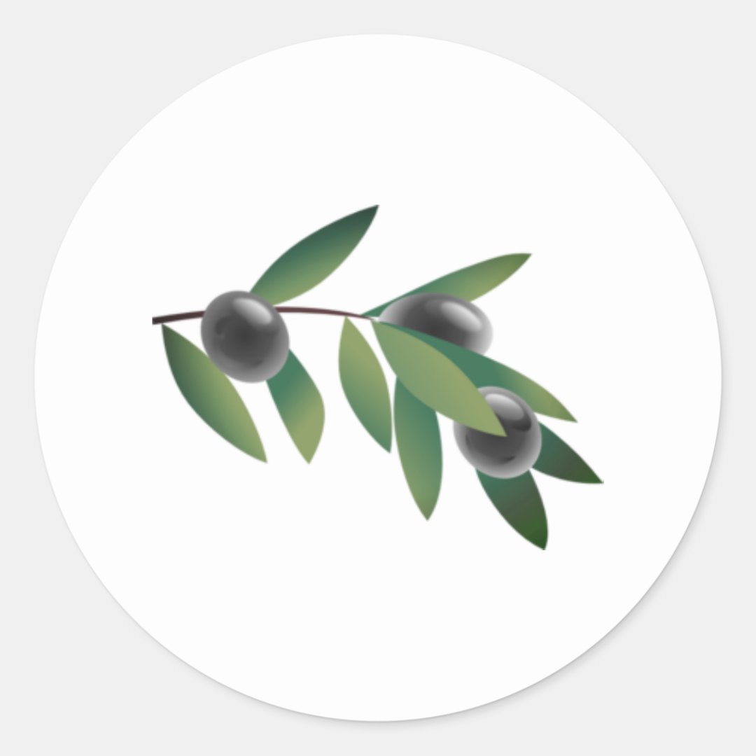 Olive Branch Classic Round Sticker | Zazzle