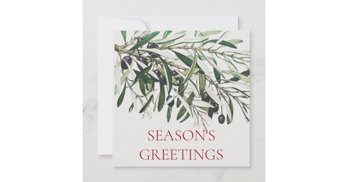 "OLIVE BRANCH" SEASON'S GREETINGS FLAT CHRISTMAS CARD | Zazzle