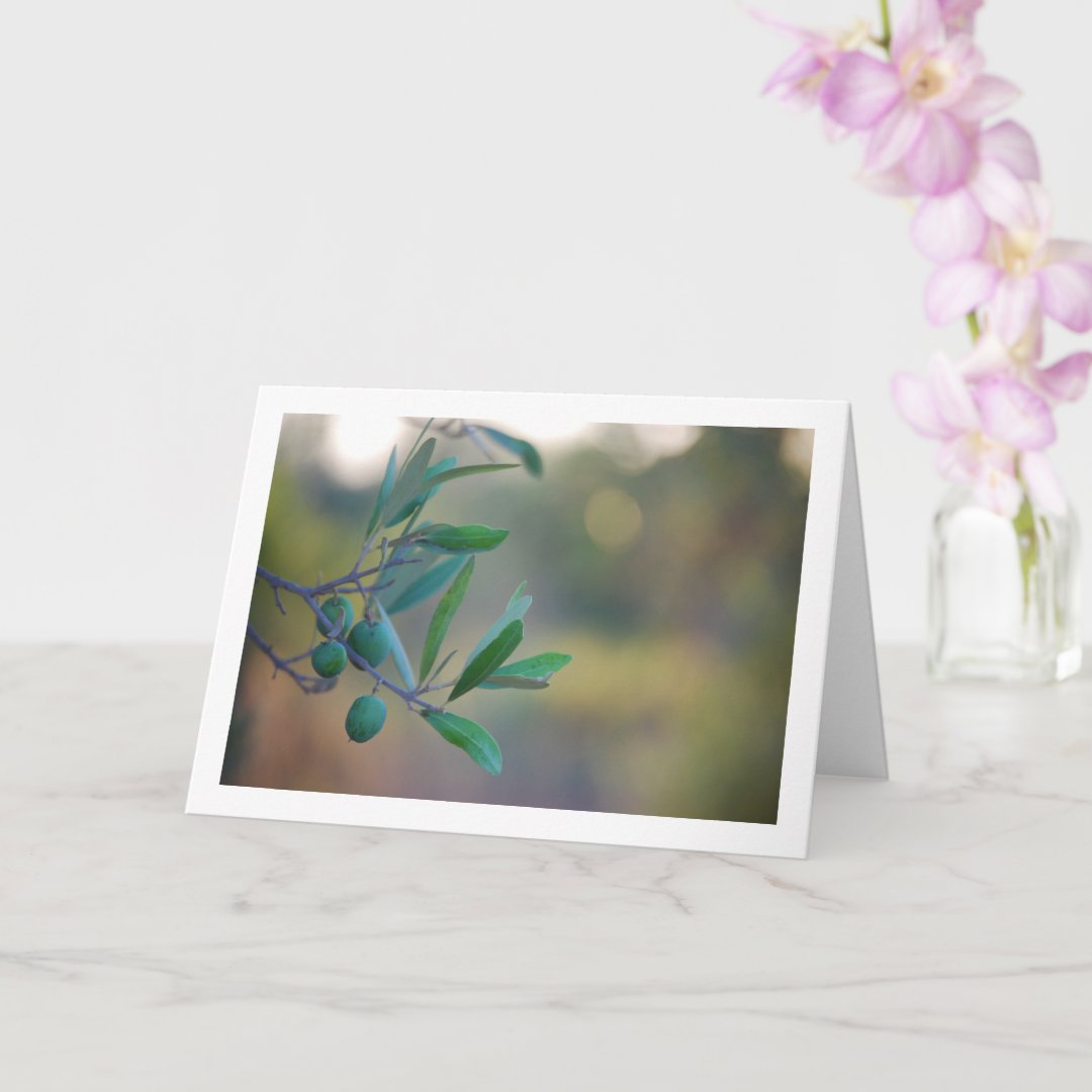 Olive Tree with Bokeh Background Card | Zazzle