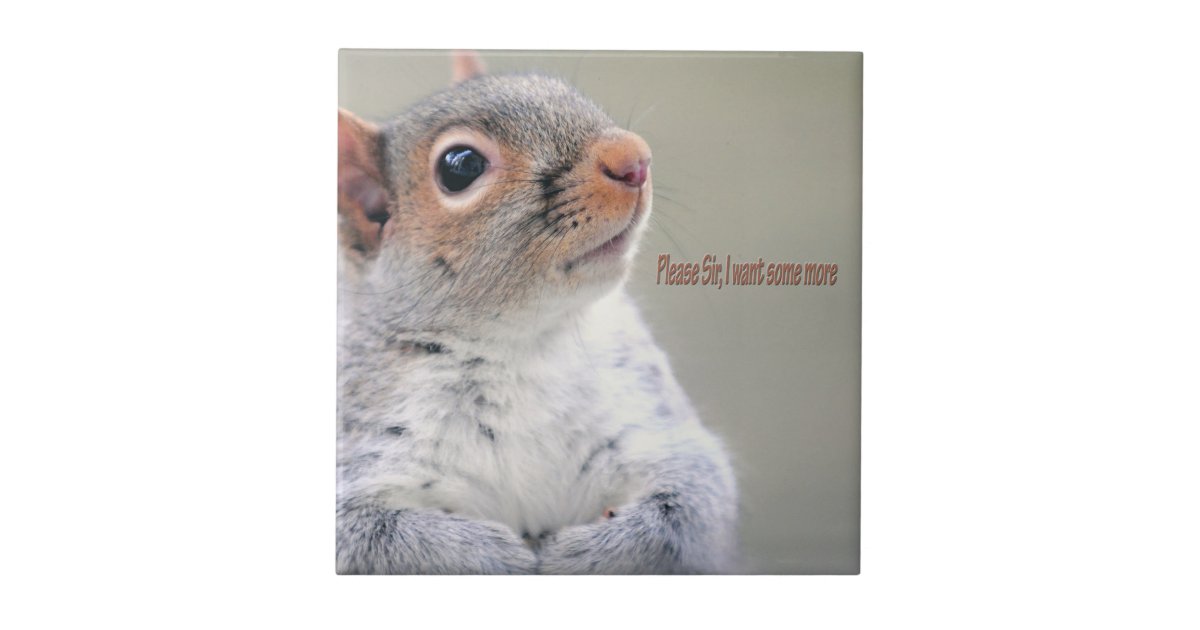 Oliver Twist Squirrel Ceramic Tile | Zazzle