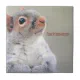 Oliver Twist Squirrel Ceramic Tile | Zazzle