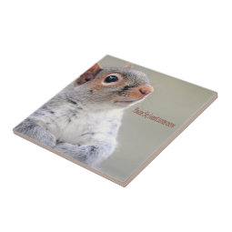 Oliver Twist Squirrel Ceramic Tile | Zazzle