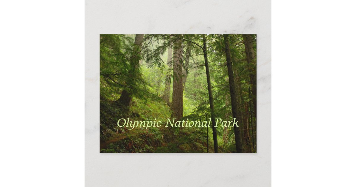 Olympic National Park Rainforest Postcard | Zazzle