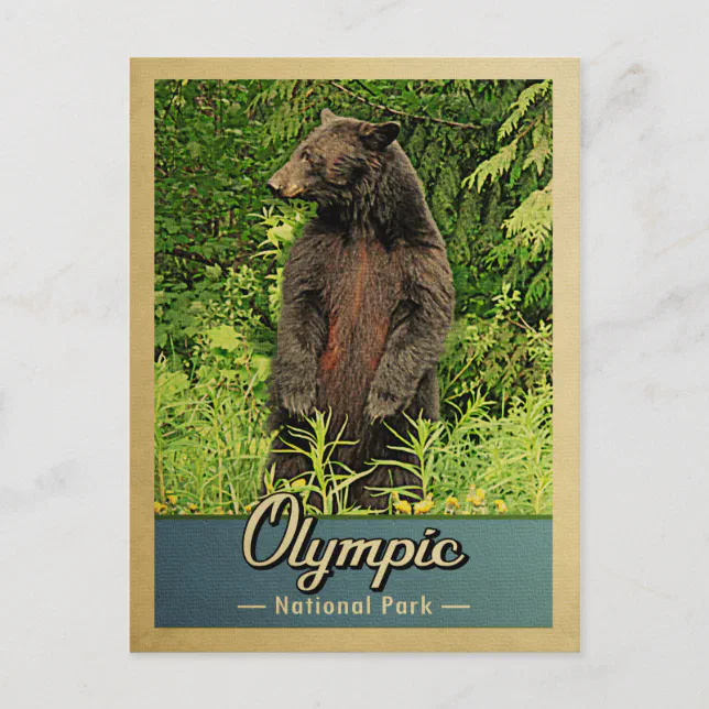 Olympic National Park Vintage Bear Postcard | Zazzle