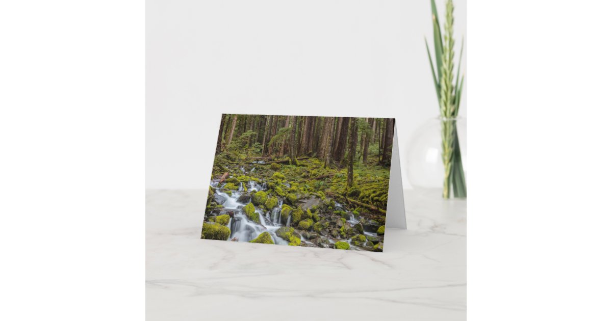 Olympic National Park, Washington State Card | Zazzle