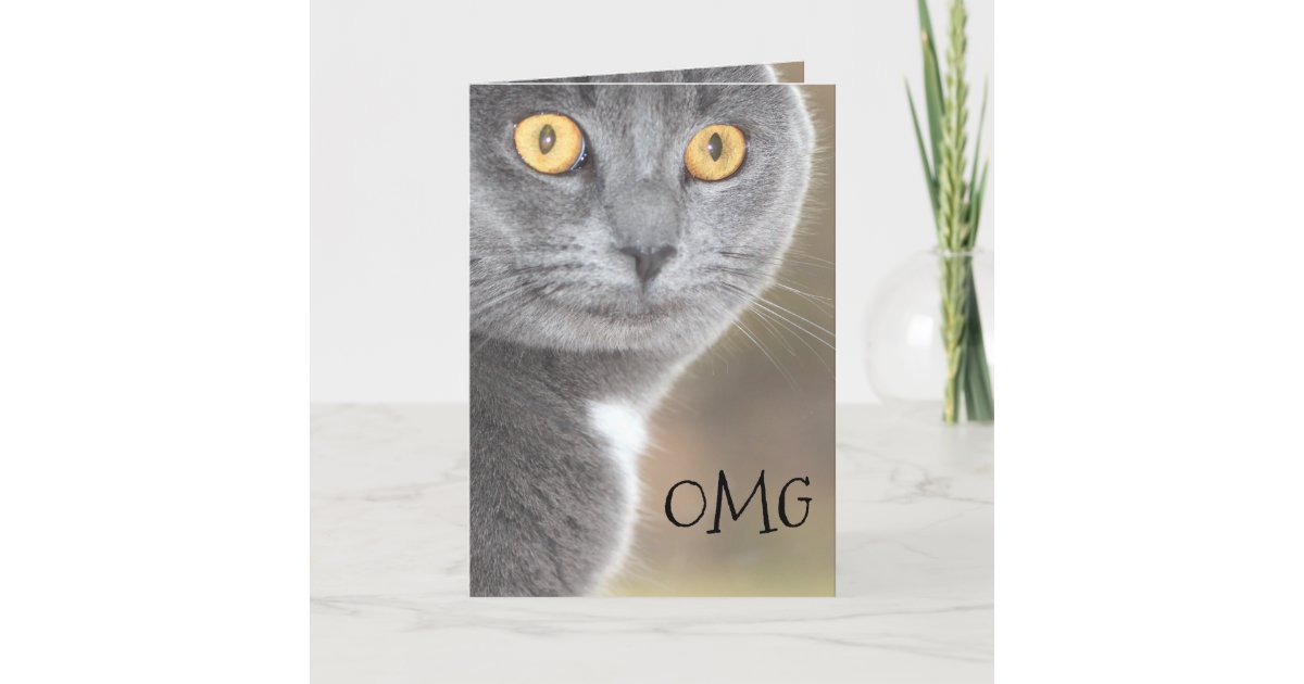 OMG Congratulations Card | Zazzle