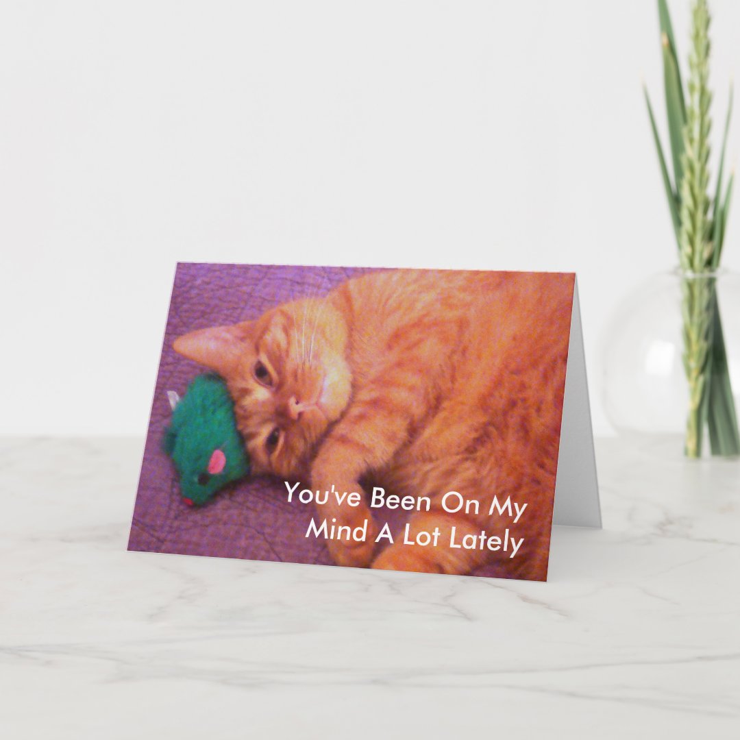 On My Mind Cat Valentine's Day Card | Zazzle