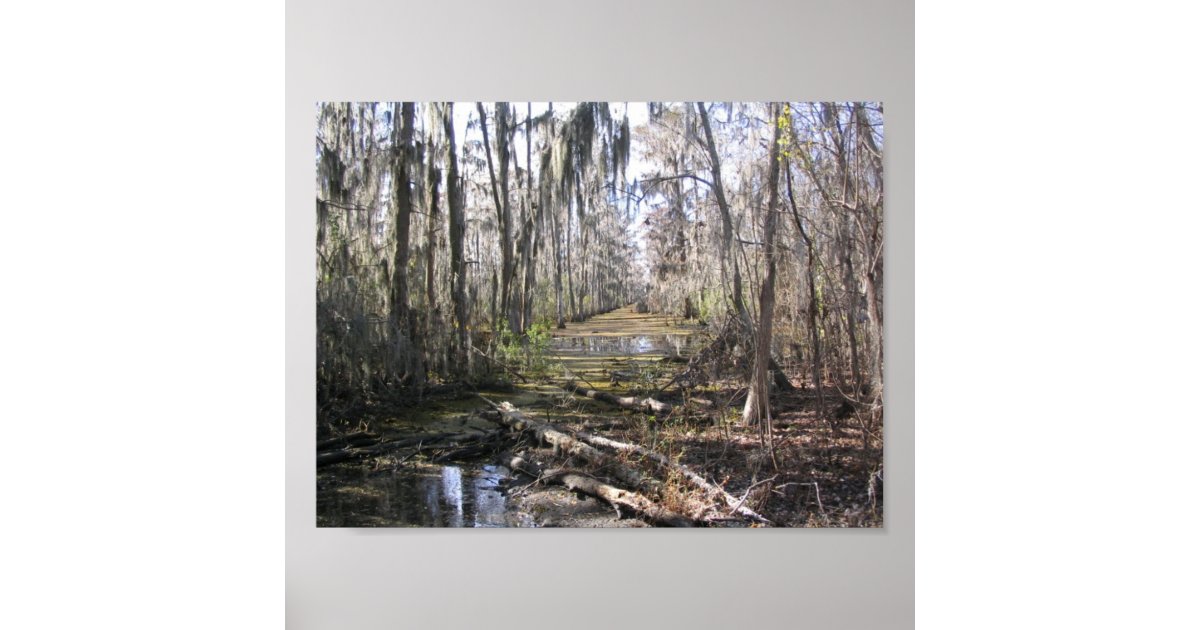 On the Bayou Poster | Zazzle