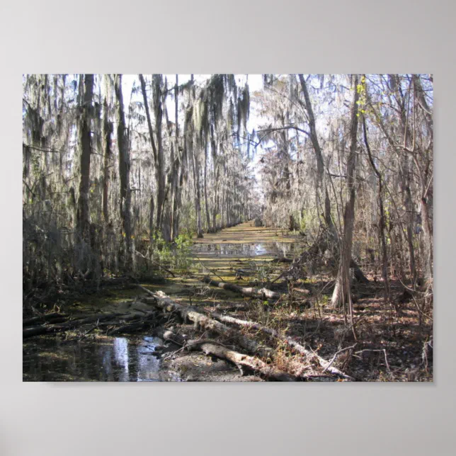 On the Bayou Poster | Zazzle