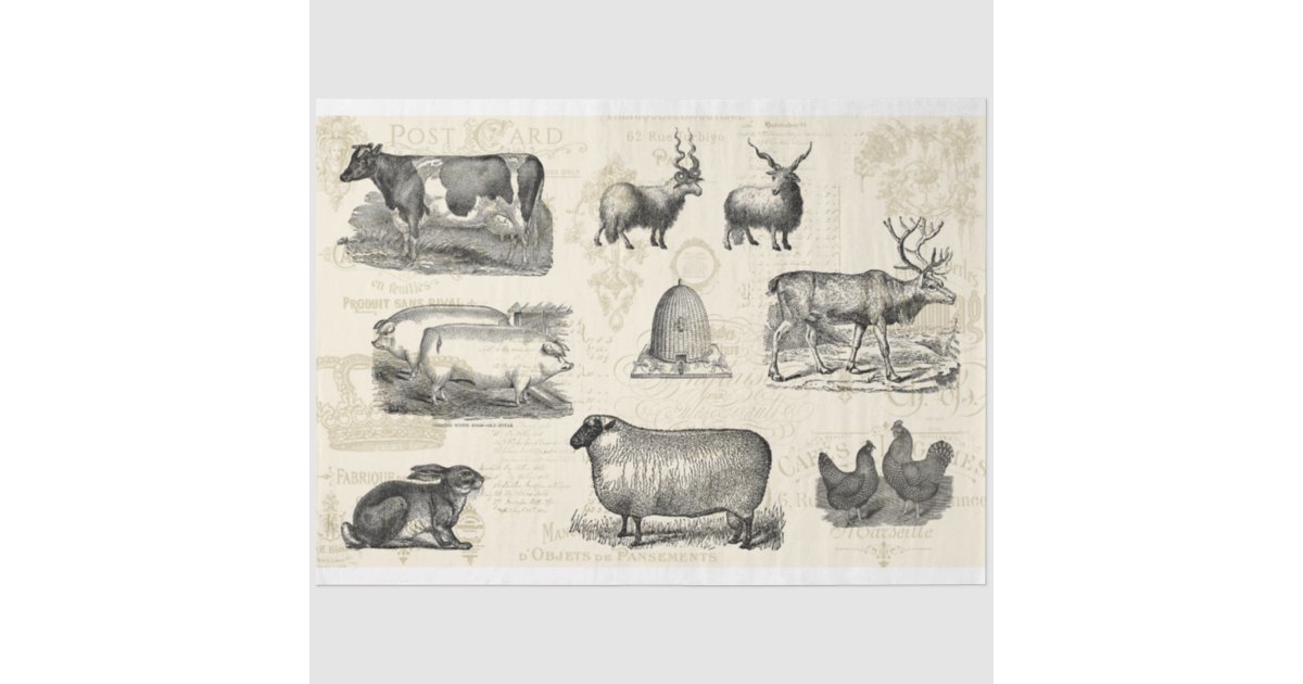 On The Farm French Farmhouse Mono Decoupage Tissue Paper | Zazzle