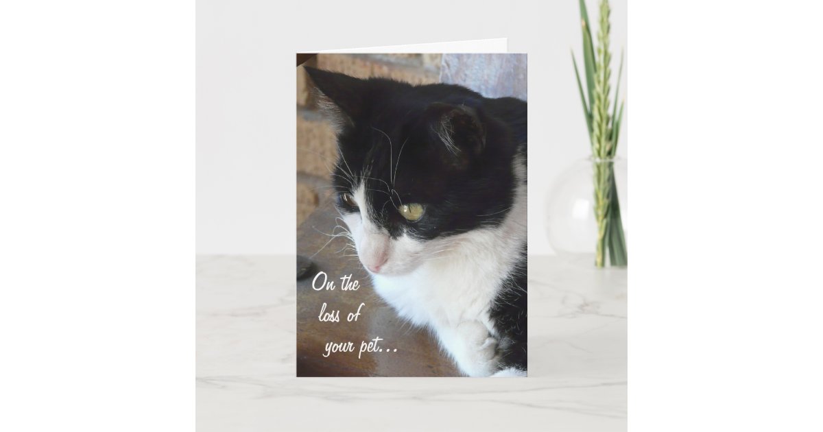 On the loss of your pet-Cat with poem. Card | Zazzle