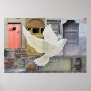 White Dove Posters & Prints | Zazzle