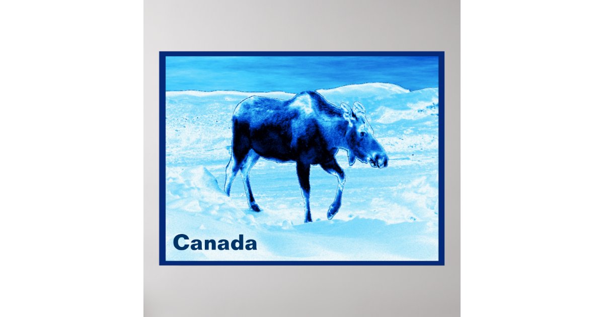 Once In A Blue Moose Poster | Zazzle