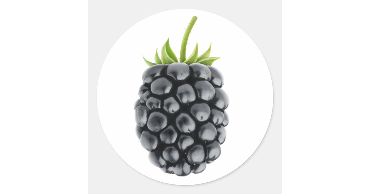 One blackberry classic round sticker | Zazzle