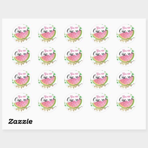 One in a Melon Birthday Watermelon stickers | Zazzle