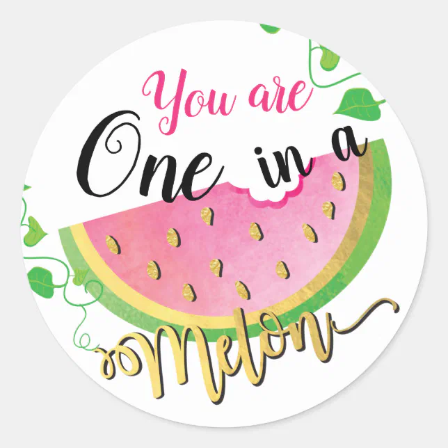 One in a Melon Birthday Watermelon stickers | Zazzle