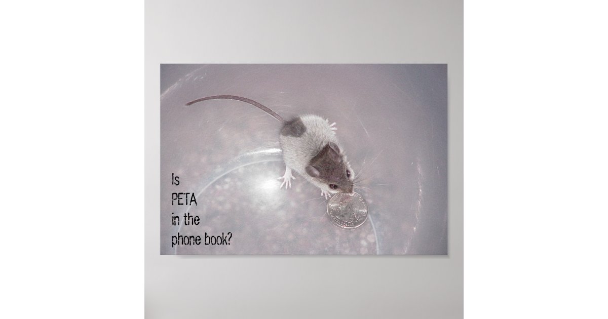 One Last Call Poster | Zazzle
