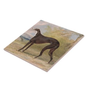 One of George Lane Fox's Winning Greyhounds: the B Tile | Zazzle