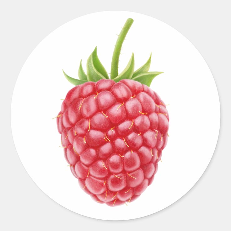 One raspberry classic round sticker | Zazzle